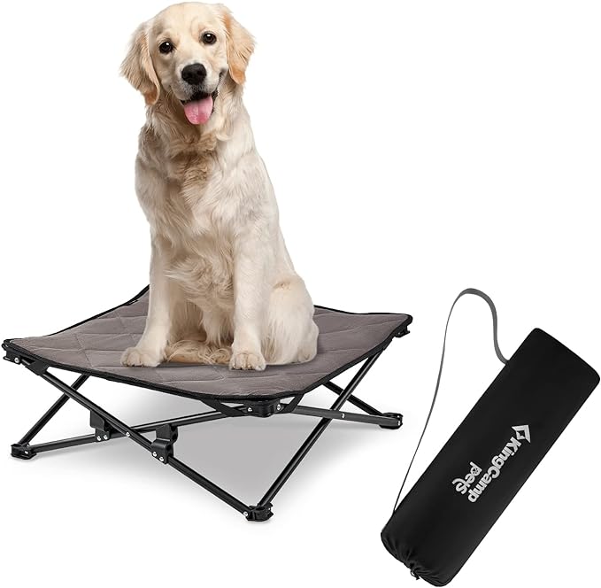 Best Foldable Elevated Dog Bed with Comfort: Reviews, Rating, Top Picks ...